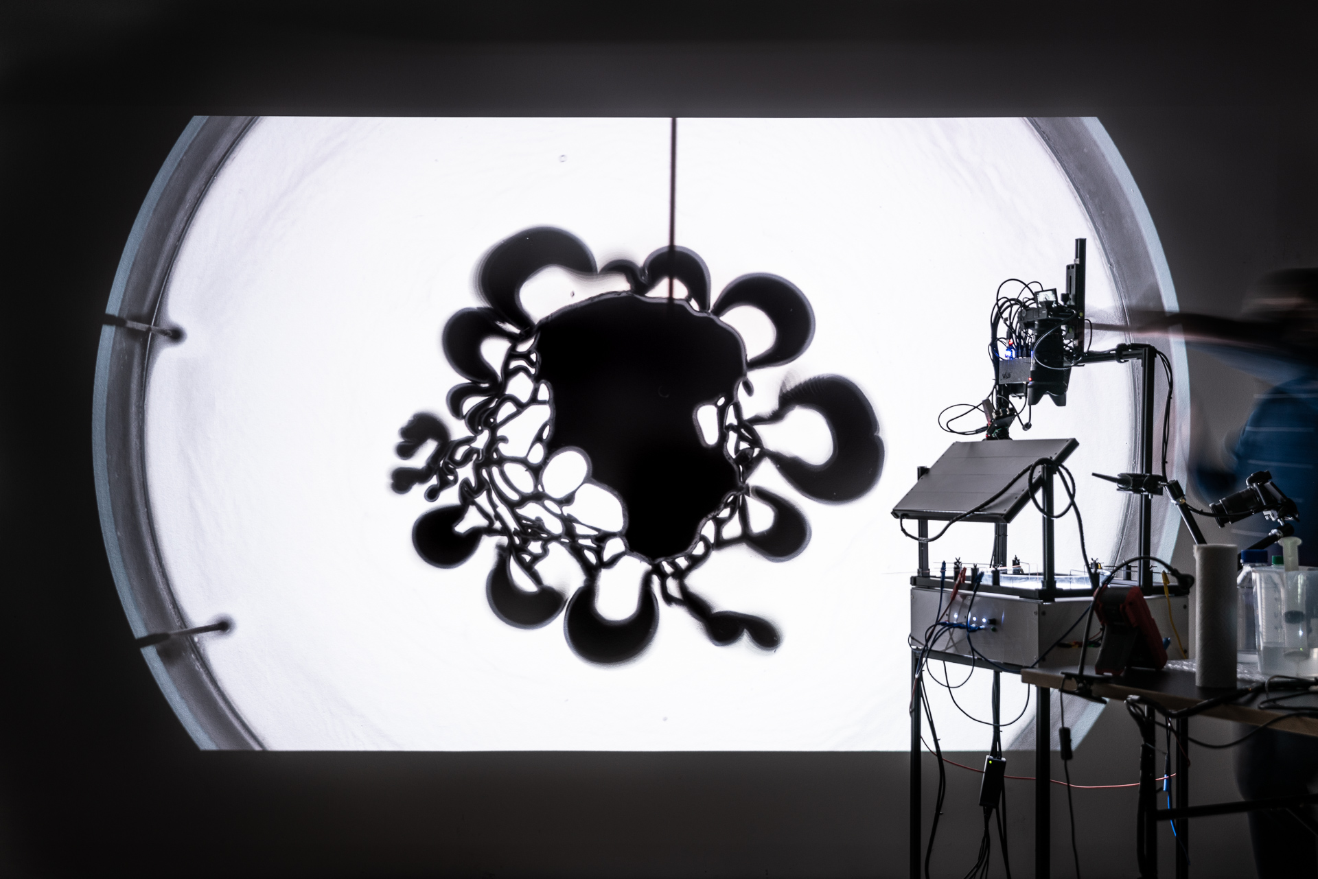 Conversations on Art and Media: Unconventional Computing mit Ralf ...